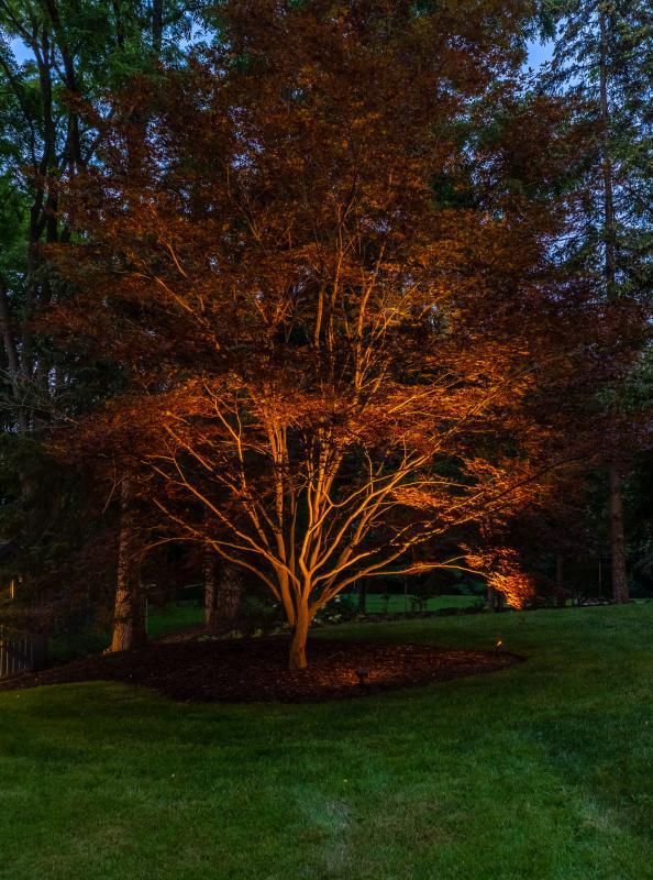 Planit Green Landscapes - Landscape Ontario