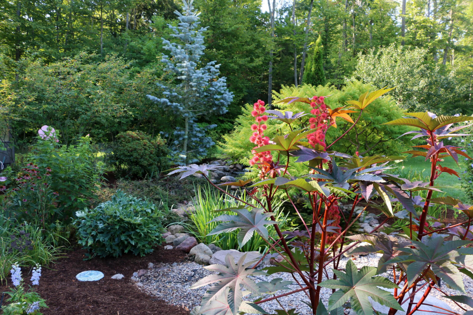 A lifetime of learning at Simply Landscaping & Garden Designs ...